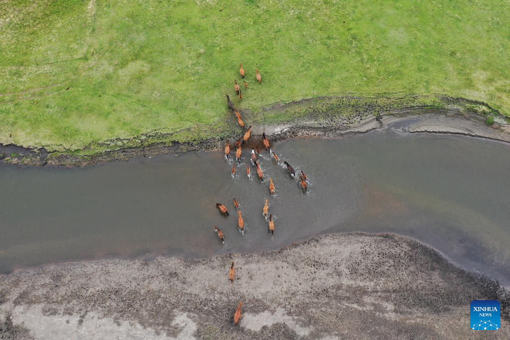 Scenery along Mergel Gol River in Hulun Buir, Inner Mongolia-Xinhua