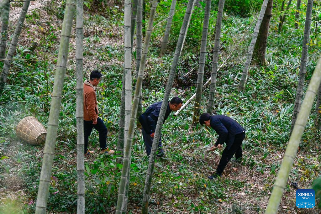 Young vlogger scoops on local rural life in Guizhou, SW China-Xinhua