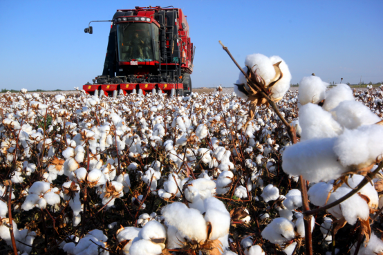 传播金融温度 彰显使命担当 平安银行积极为民办实事-新华网